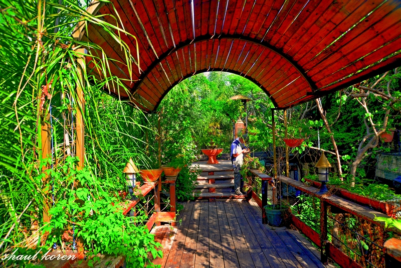 Israel Visite Jardins village druze Julis Galilée
