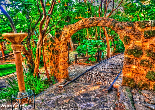 Israel Visite Jardins village druze Julis Galilée